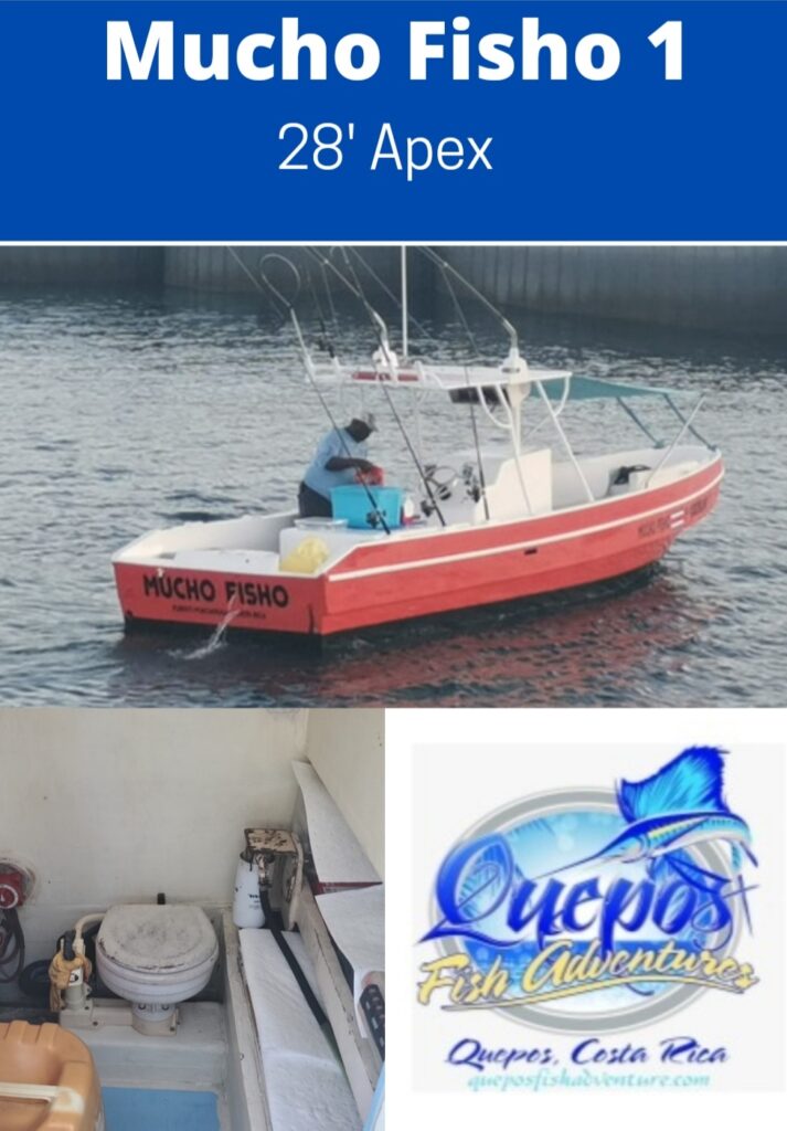 Fishing Packages - Quepos Fish Adventure